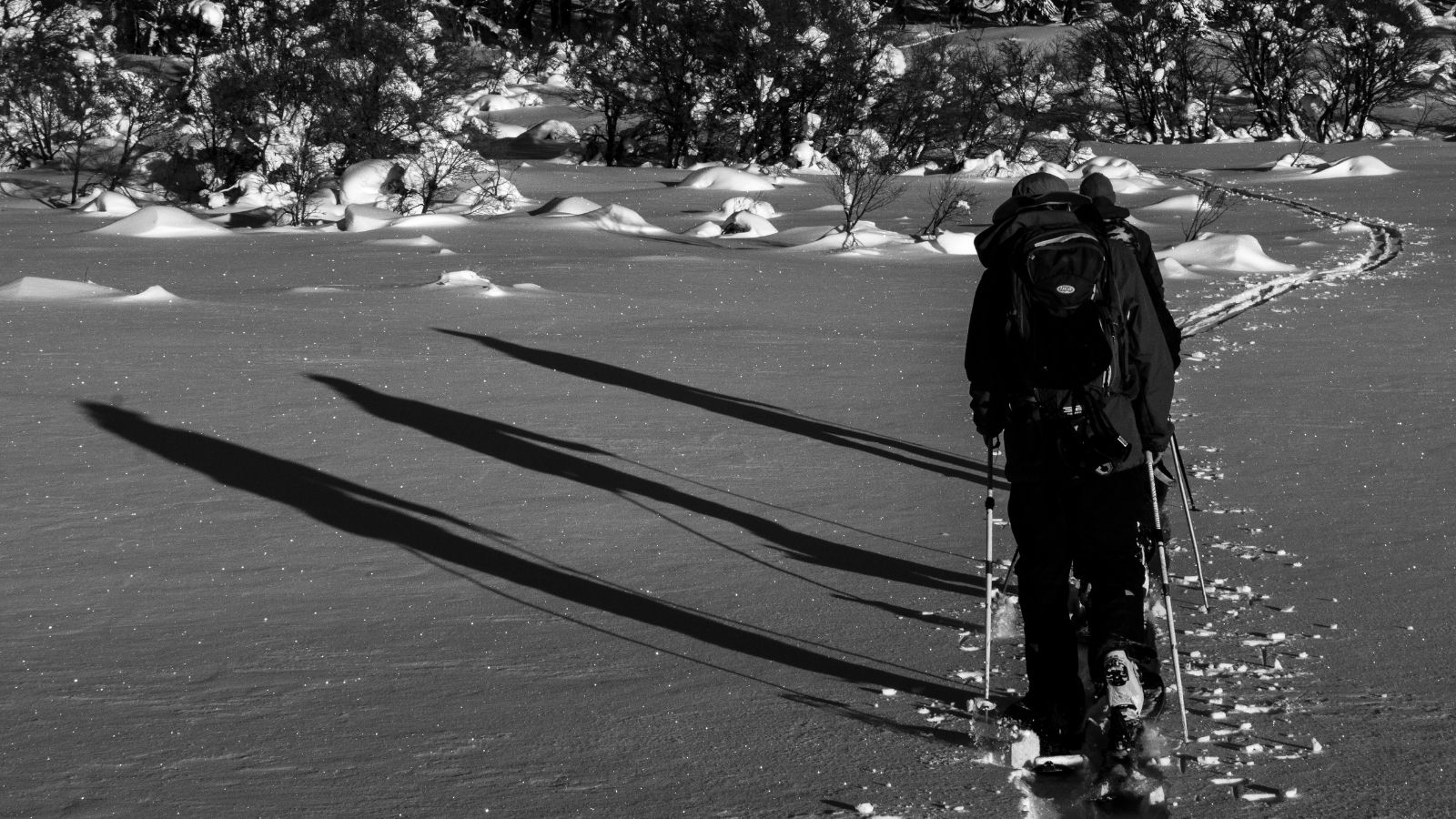 Todos los trips - Andes Touring Trips